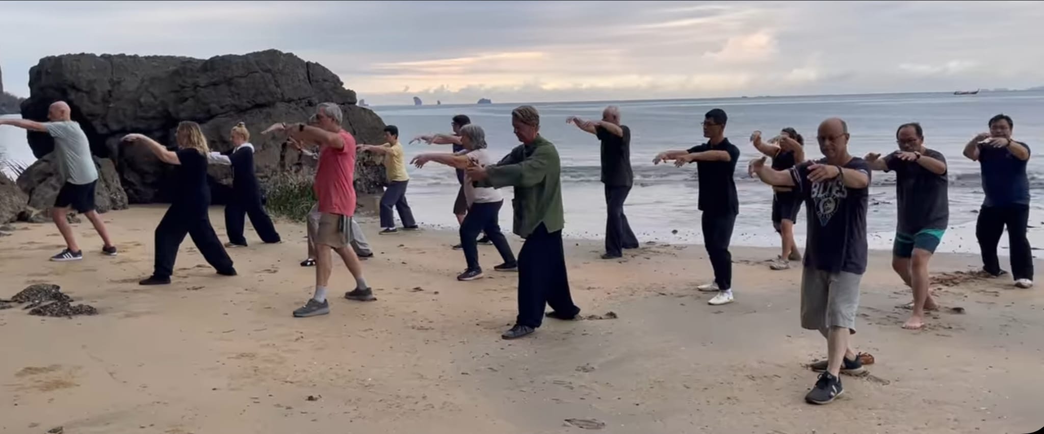 Basic Tai Chi and QiGong workshop with Master Alex Dong - Qigong zen